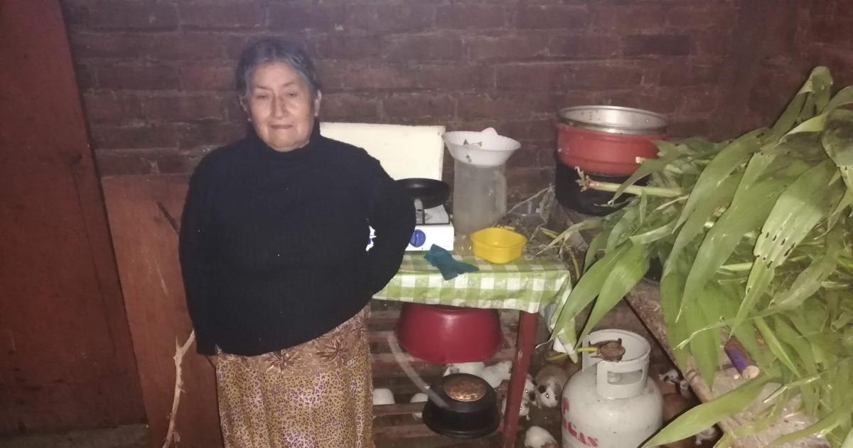 Maria Modesta from Peru's loan has been funded! | Kiva