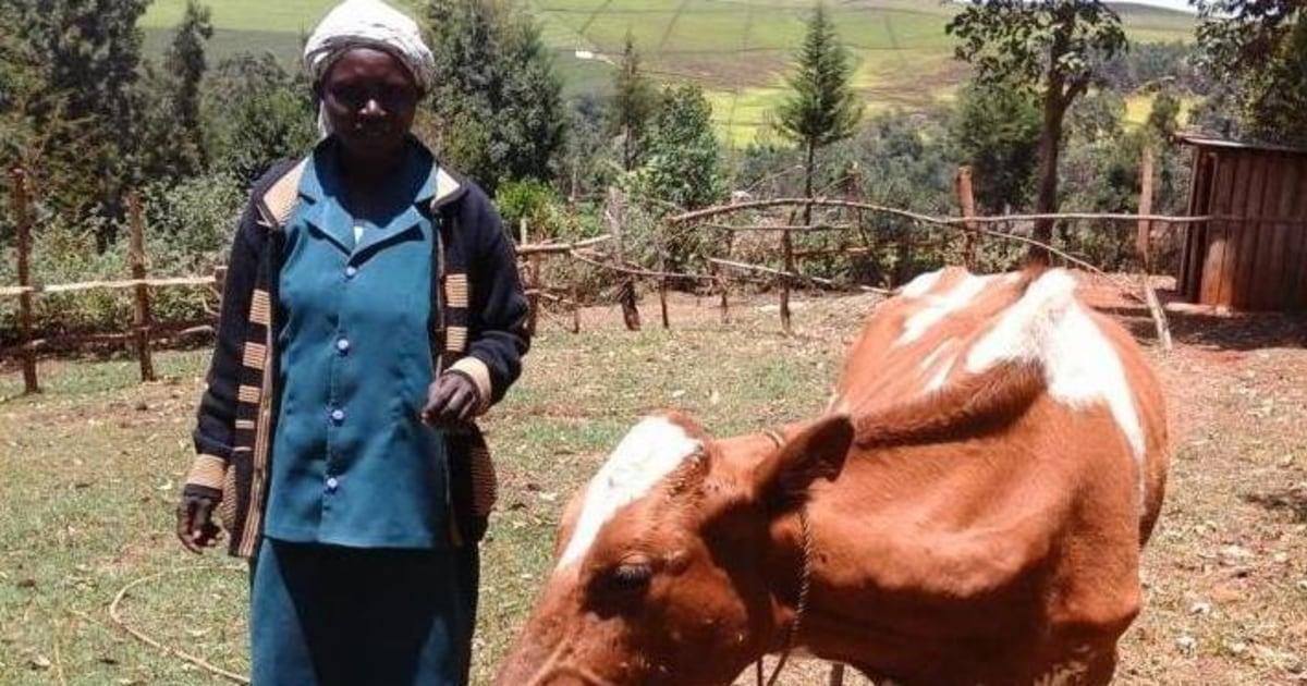 Emmy from Kenya's loan has been funded! | Kiva