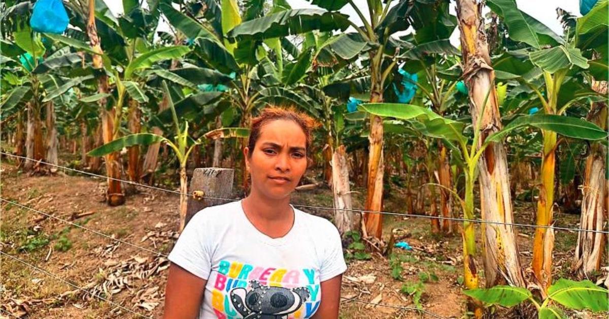 Endrina Marcela from Colombia's loan has been funded! | Kiva