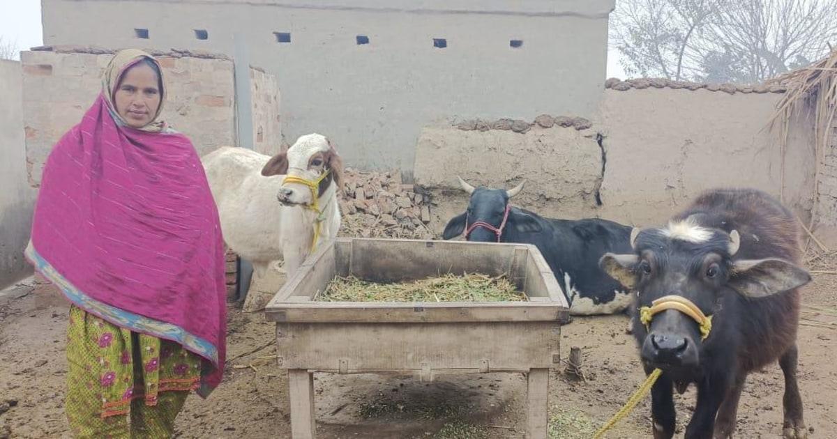 Sughran from Pakistan's loan has been funded! | Kiva