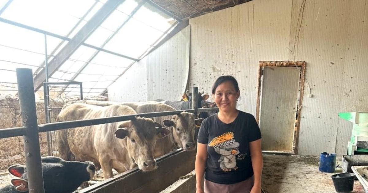 Zhanar from Kazakhstan's loan has been funded! | Kiva