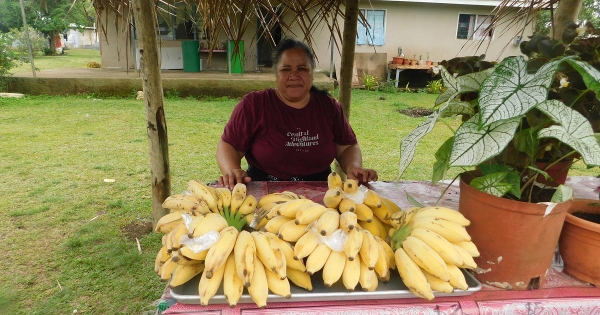 'Ofa from Tonga's loan has been funded! | Kiva