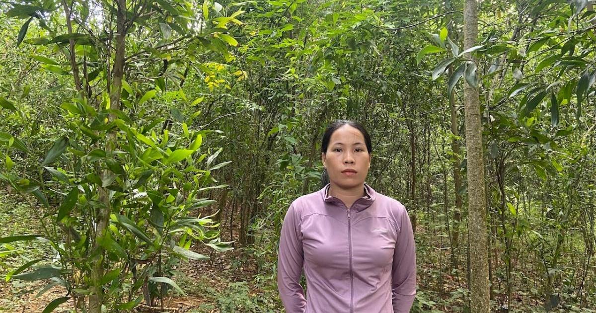 Lend to Hoà in Vietnam | Kiva