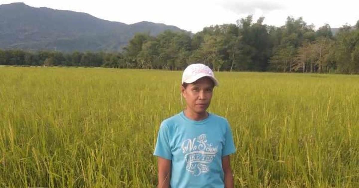 Darish from Philippines's loan has been funded! | Kiva