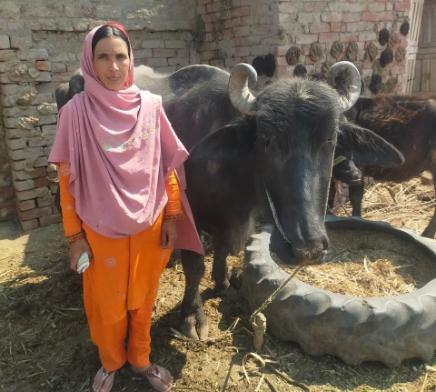 Lend to Naila in Pakistan | Kiva