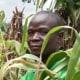 Elphas' Group from Kenya's loan has been funded! | Kiva