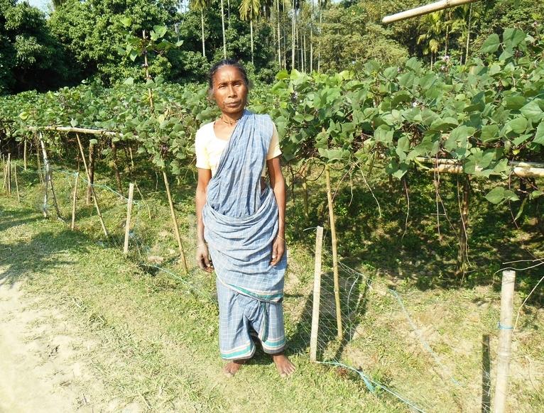 Anima - India | Kiva