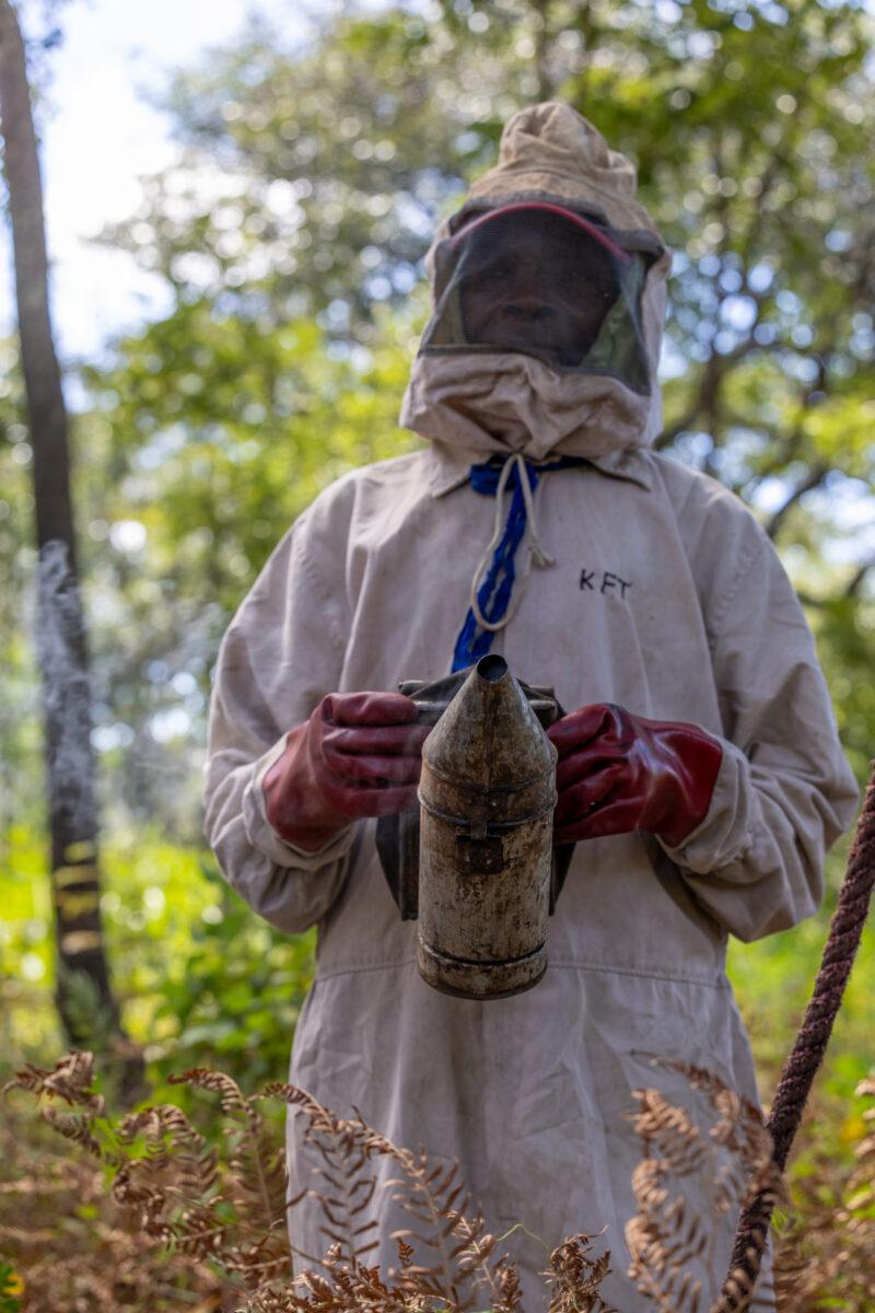 Wild Hive & Co. - Zambia | Kiva