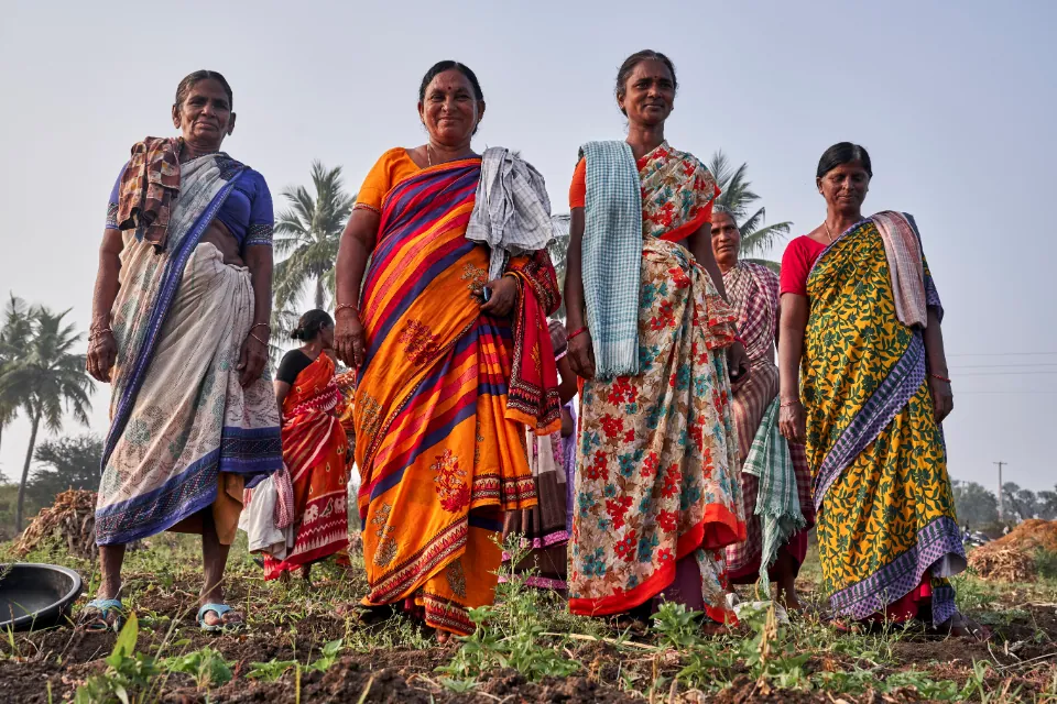 Diaspora Co. - India | Kiva