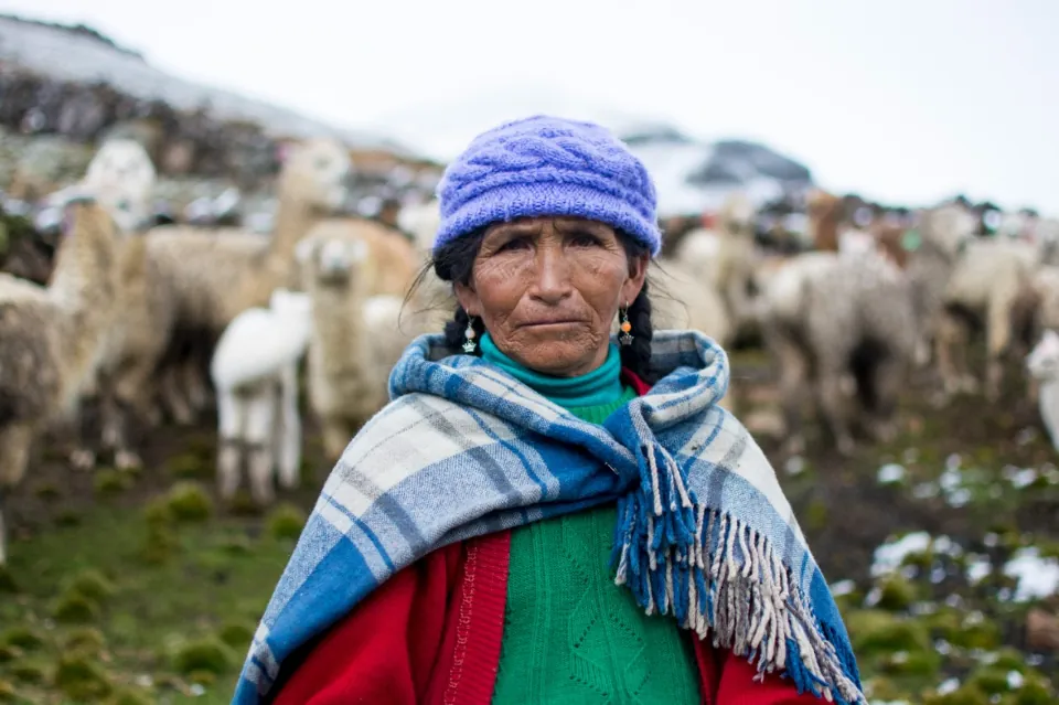Suritex - Peru | Kiva