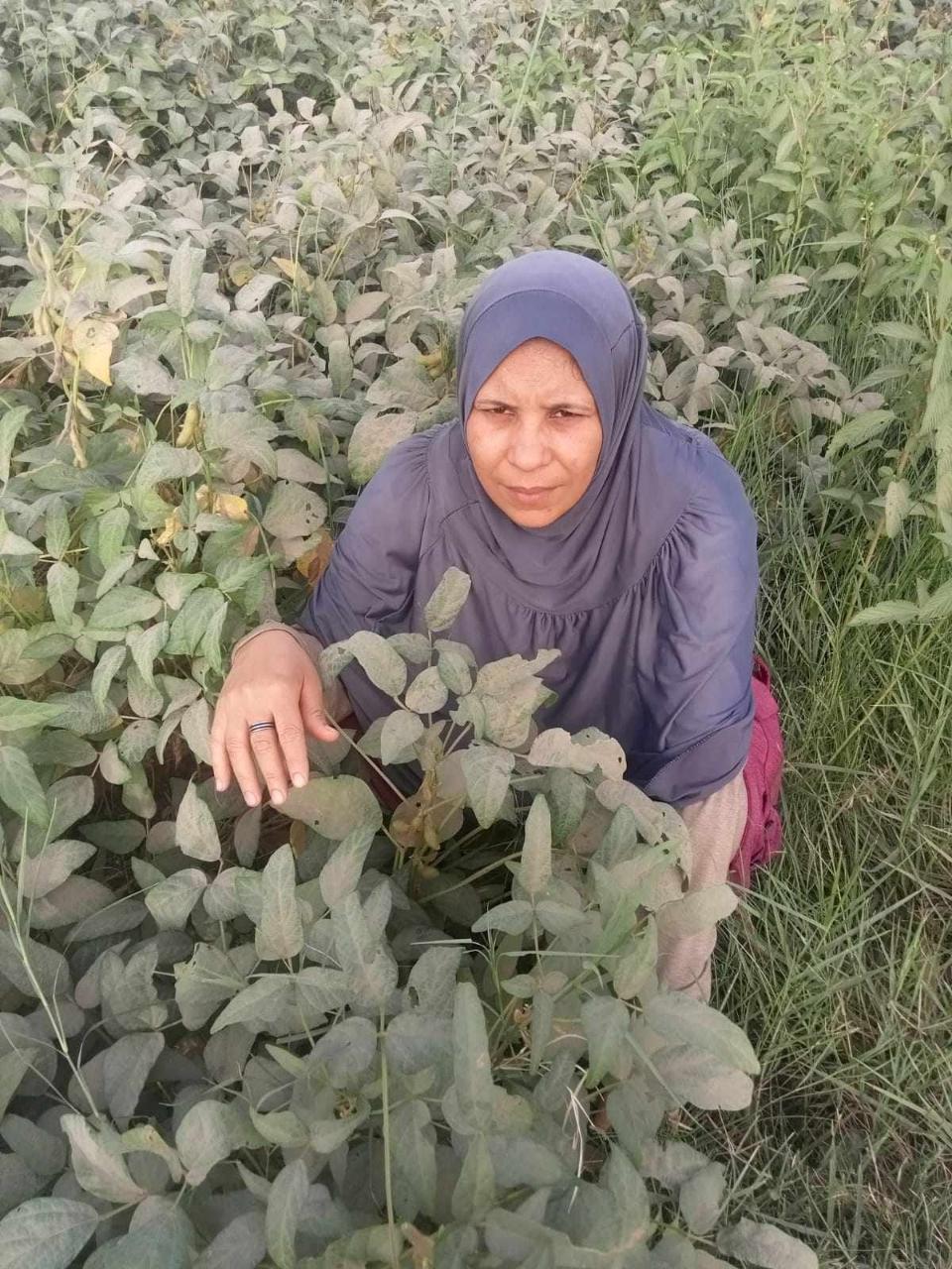 Saadya - Egypt | Kiva